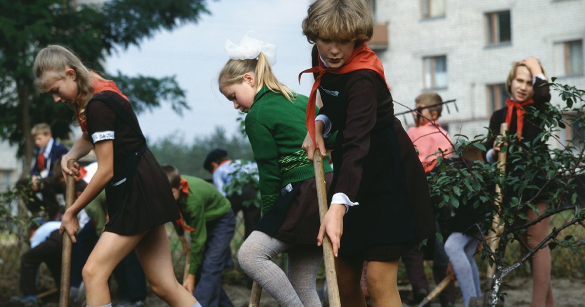 «Слезы капали прямо в клей». 6 историй о летней практике в школах — от ...