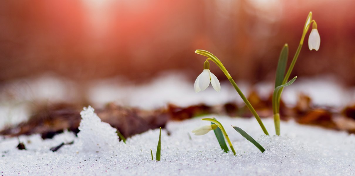 Как правильно: «март-месяц» или «март месяц»? И нужно ли здесь вообще ...